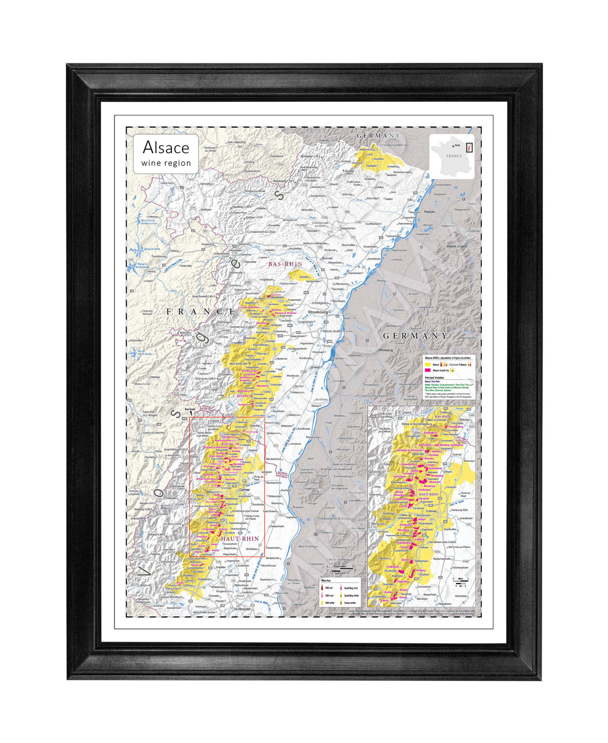 Alsace Wine Map - AmphoraMap