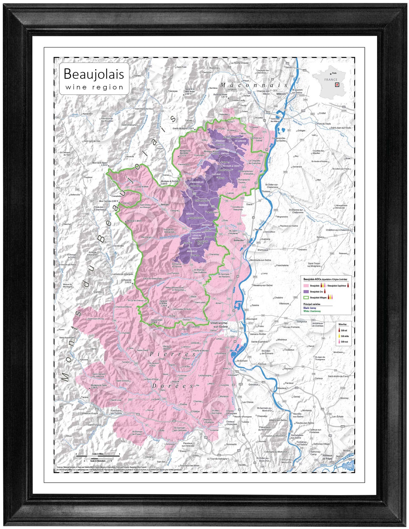 Wine Maps - AmphoraMap
