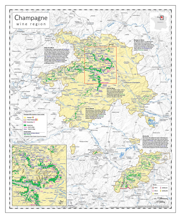 Champagne Wine Map - AmphoraMap